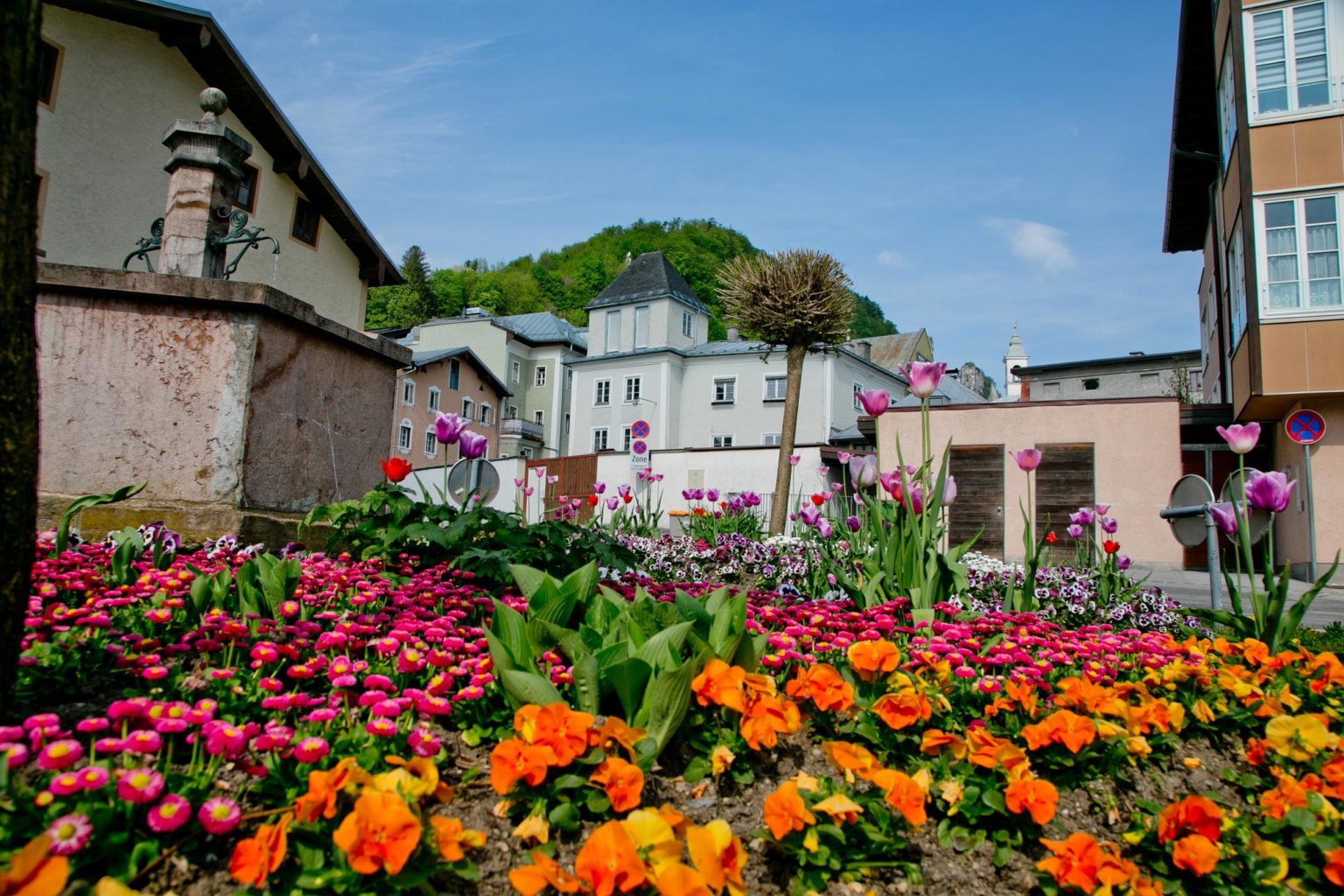 Historische Altstadt - Hallein